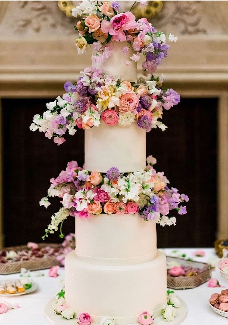 Welcome to DEMEL - K.u.K. Hofzuckerbäcker Wien – Demel Wien